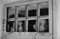 lifephotogallery|captured indonesian rebels